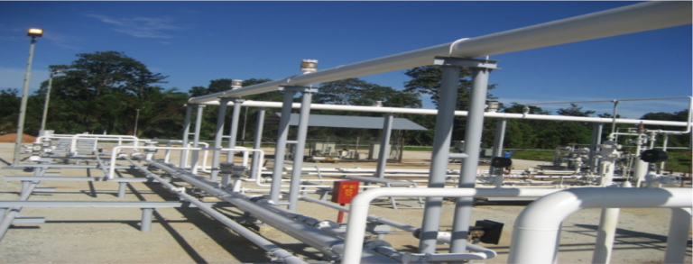 Project – petroflexx